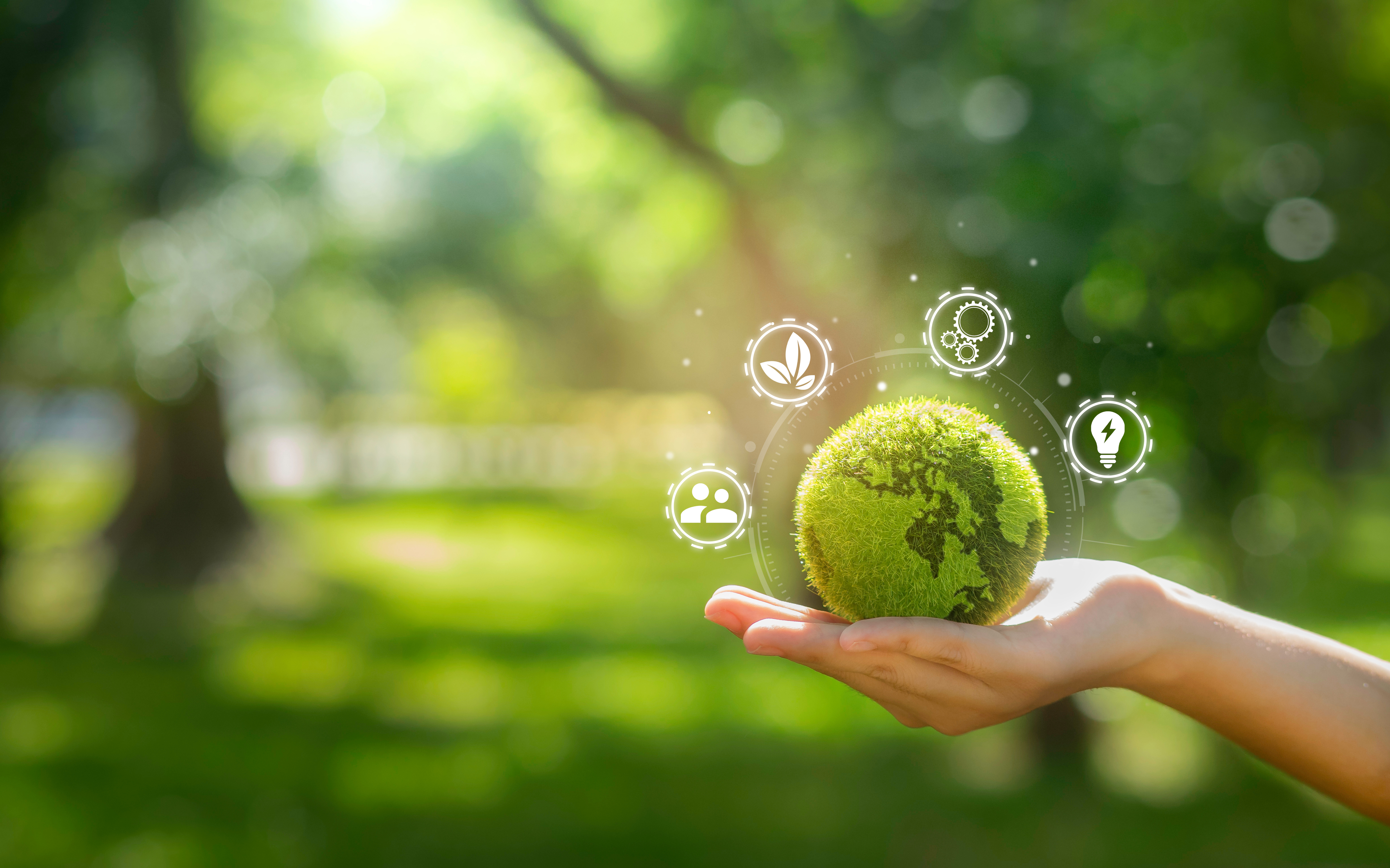 Bureau Veritas Australia and New Zealand is officially awarded as an ...